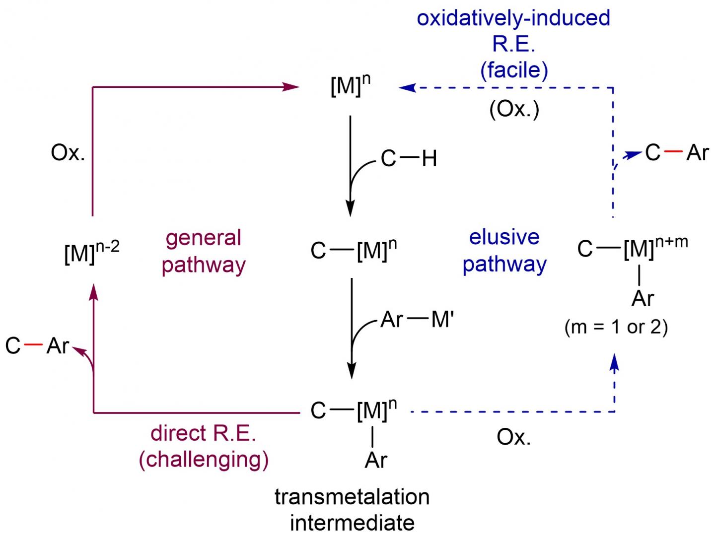 Reaction Pathway [IMAGE] | EurekAlert! Science News Releases