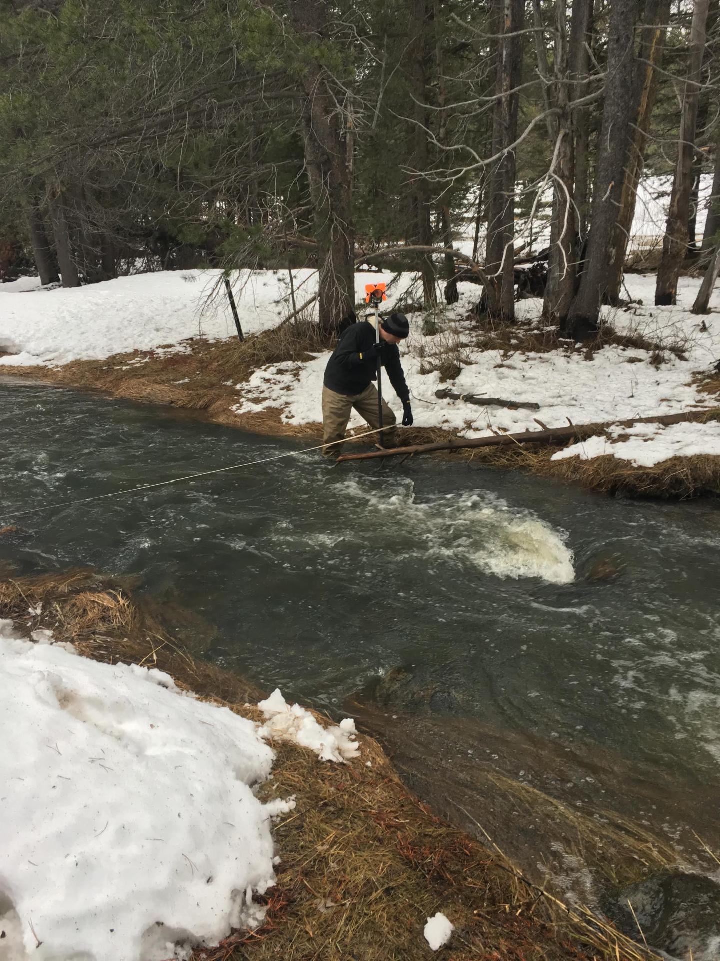 Scientists at the Sagehen Expe [IMAGE] | EurekAlert! Science News Releases