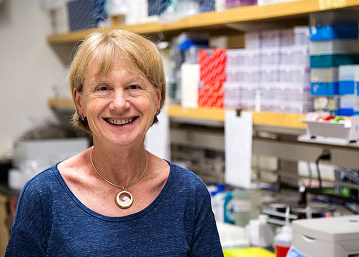 Jane C. Burns, MD [IMAGE] | EurekAlert! Science News Releases