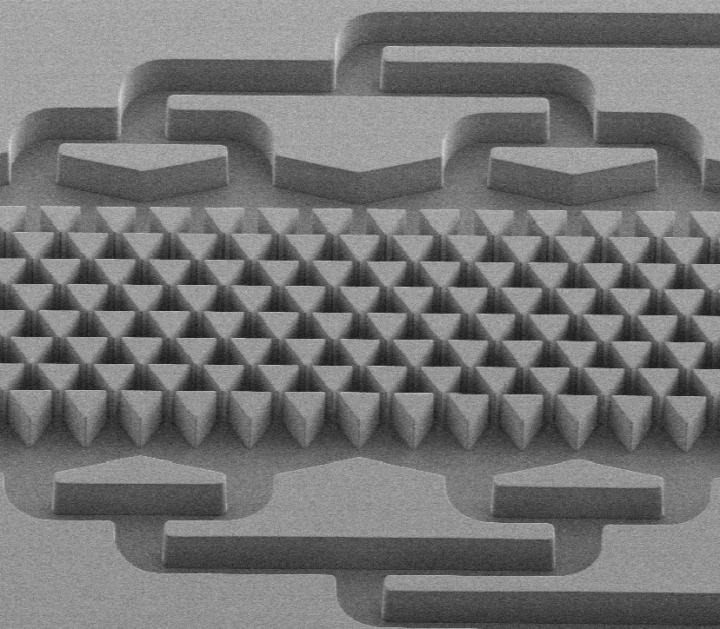 Cluster-Chip Micropost Rows [IMAGE] | EurekAlert! Science News Releases