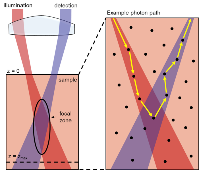 Crossed Beams [IMAGE] | EurekAlert! Science News Releases