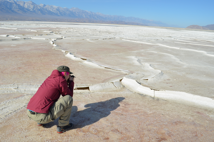 How patterns emerge in salt deserts | EurekAlert!