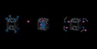 DNA 'cages' may aid drug delivery | EurekAlert!