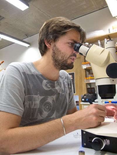 Daniel Lackner, Salk Institute [IMAGE] | EurekAlert! Science News Releases