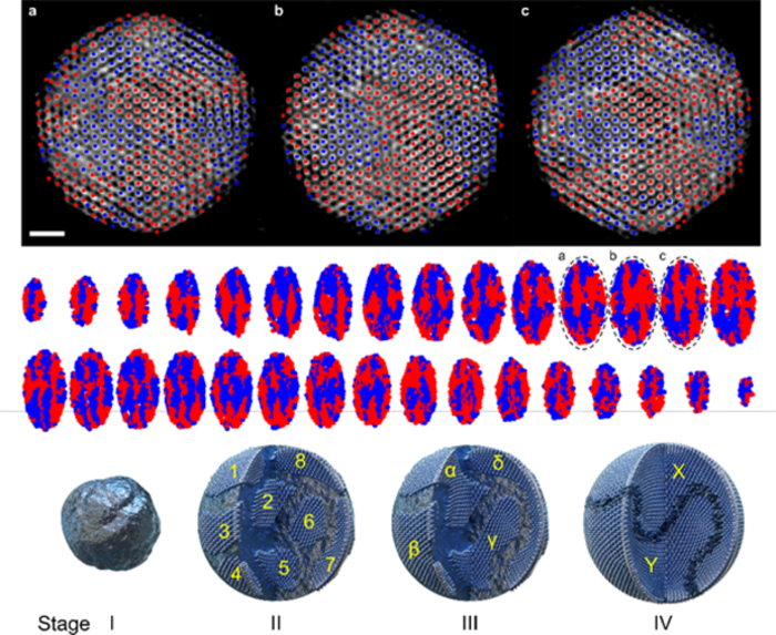 3D atomic structure of metasta [IMAGE] | EurekAlert! Science News Releases