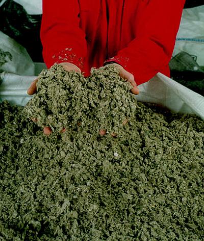 Paper Mill Sludge [IMAGE] | EurekAlert! Science News Releases