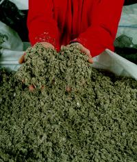 Paper Mill Sludge | EurekAlert!