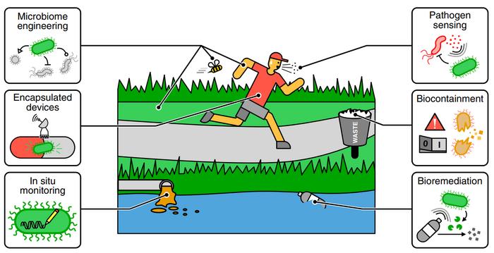 Deployment of genetic sensors [IMAGE] | EurekAlert! Science News Releases