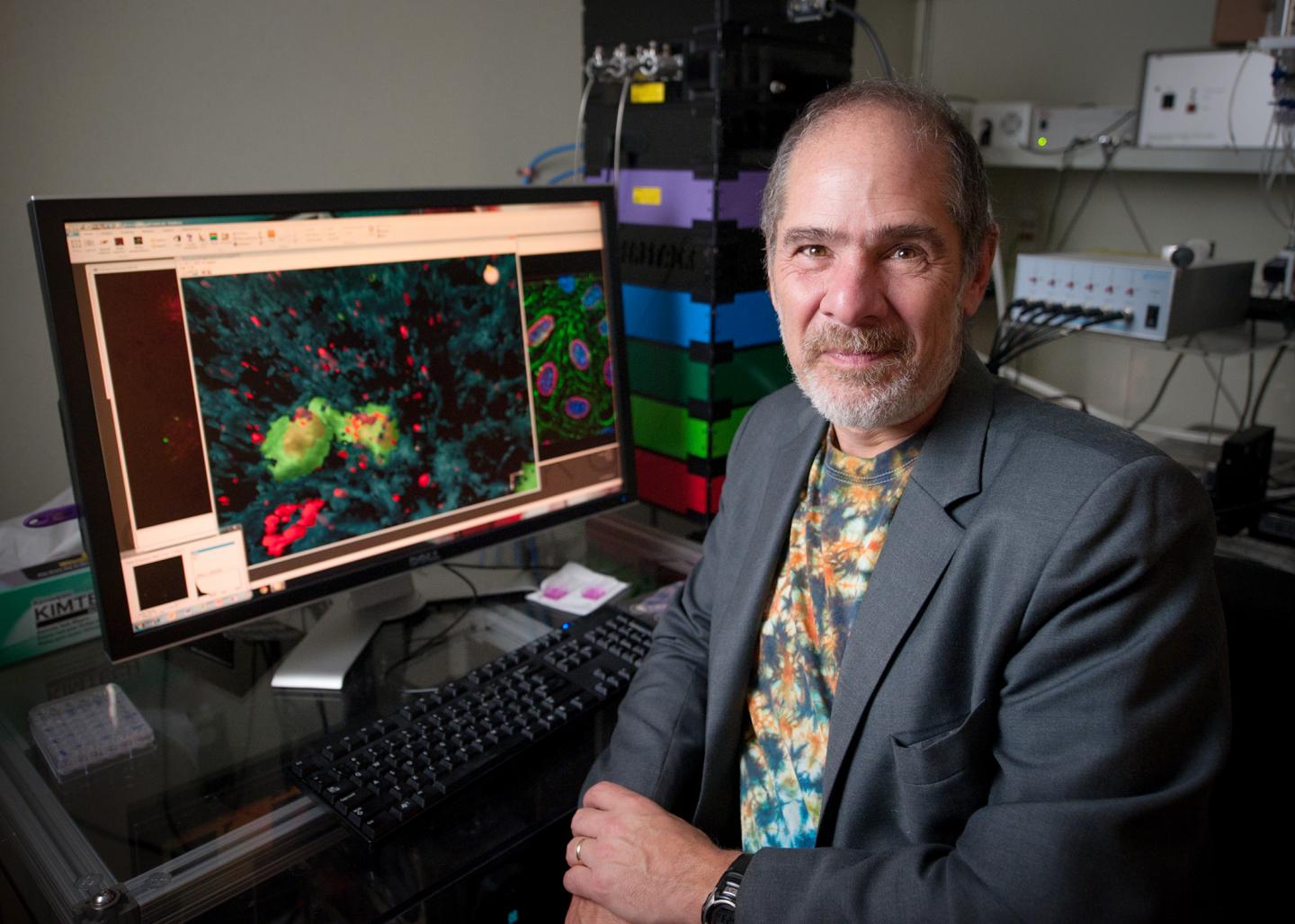 Doug Green of St. Jude [IMAGE] | EurekAlert! Science News Releases