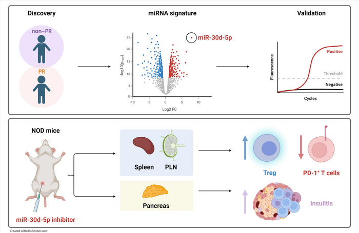 Graphical abstract [IMAGE] | EurekAlert! Science News Releases