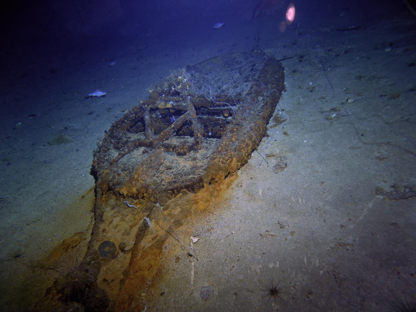 Protective Measures May Help D [IMAGE] | EurekAlert! Science News Releases