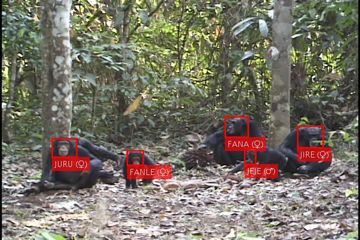 Deep Learning Tool Uses Large Video Datasets | EurekAlert!