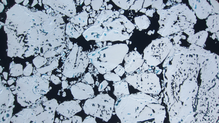 New sea ice fragmentation modu [IMAGE] | EurekAlert! Science News Releases