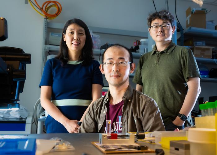 researchers [IMAGE] | EurekAlert! Science News Releases