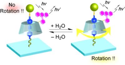 Molecular Rotor [IMAGE] | EurekAlert! Science News Releases