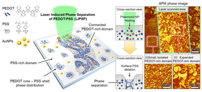 Laser-induced phase separation [IMAGE] | EurekAlert! Science News Releases