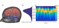 Improved functional near infrared spectroscop | EurekAlert!