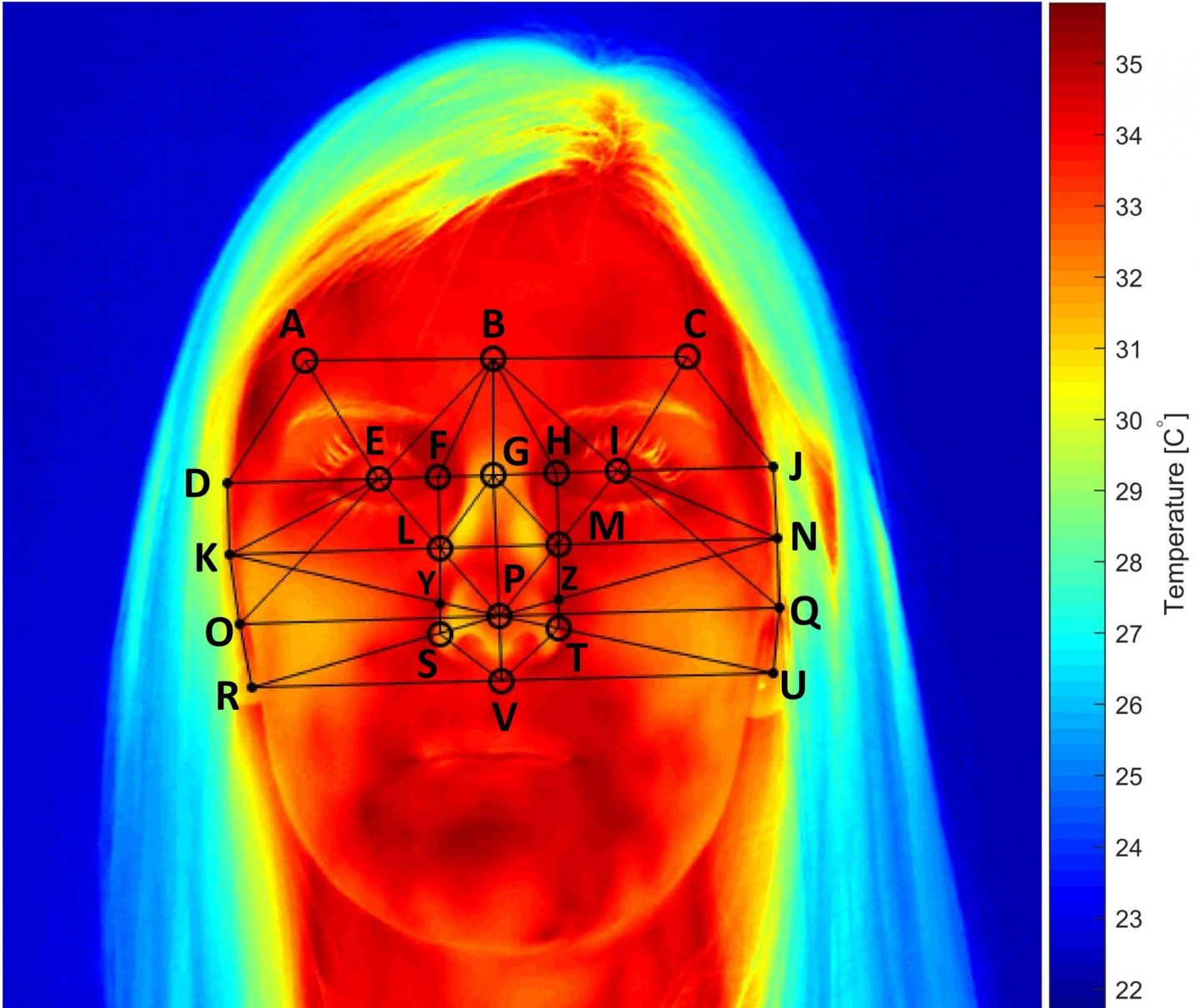 How the temperature of your nose shows how mu | EurekAlert!