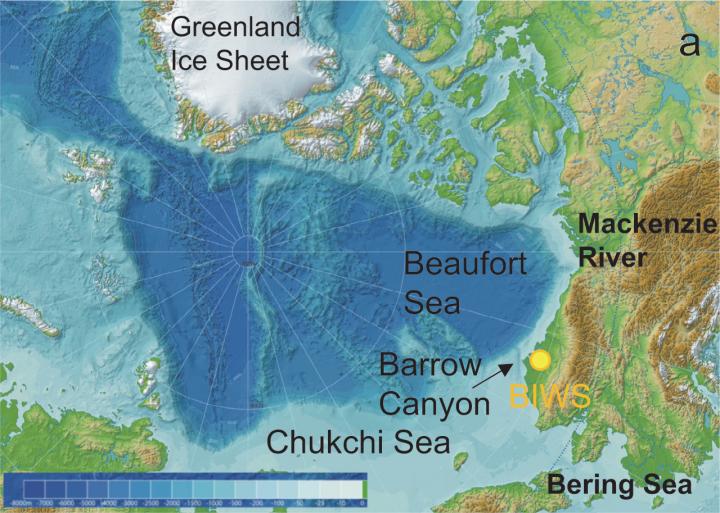 Arctic Sea Level Map [IMAGE] | EurekAlert! Science News Releases