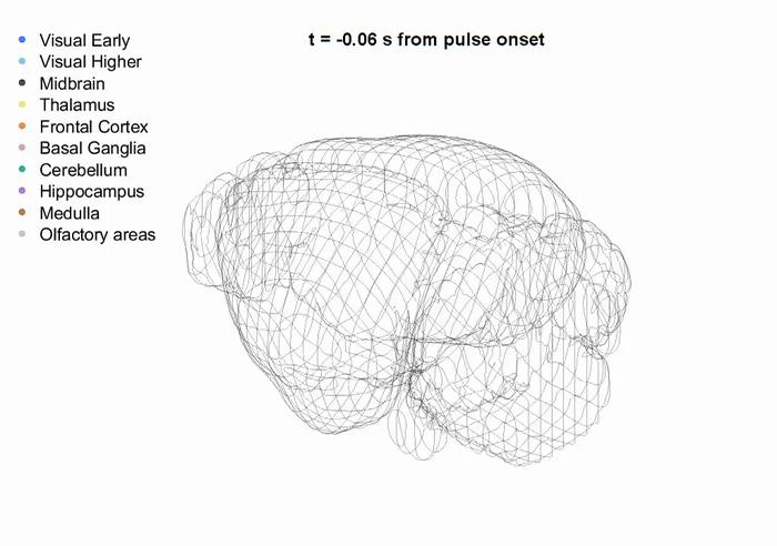 Brain-wide decision-making dynamics discovere | EurekAlert!