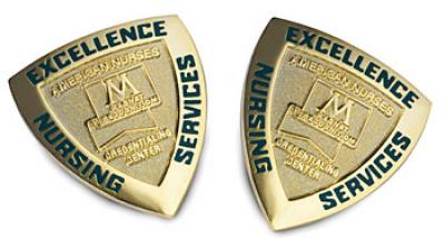 Magnet Award [IMAGE] | EurekAlert! Science News Releases