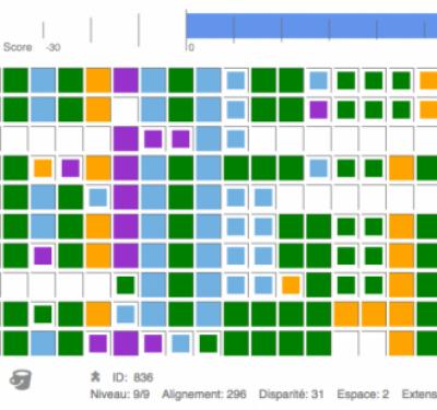 Phylo -- An Online Genomics Pu [IMAGE] | EurekAlert! Science News Releases