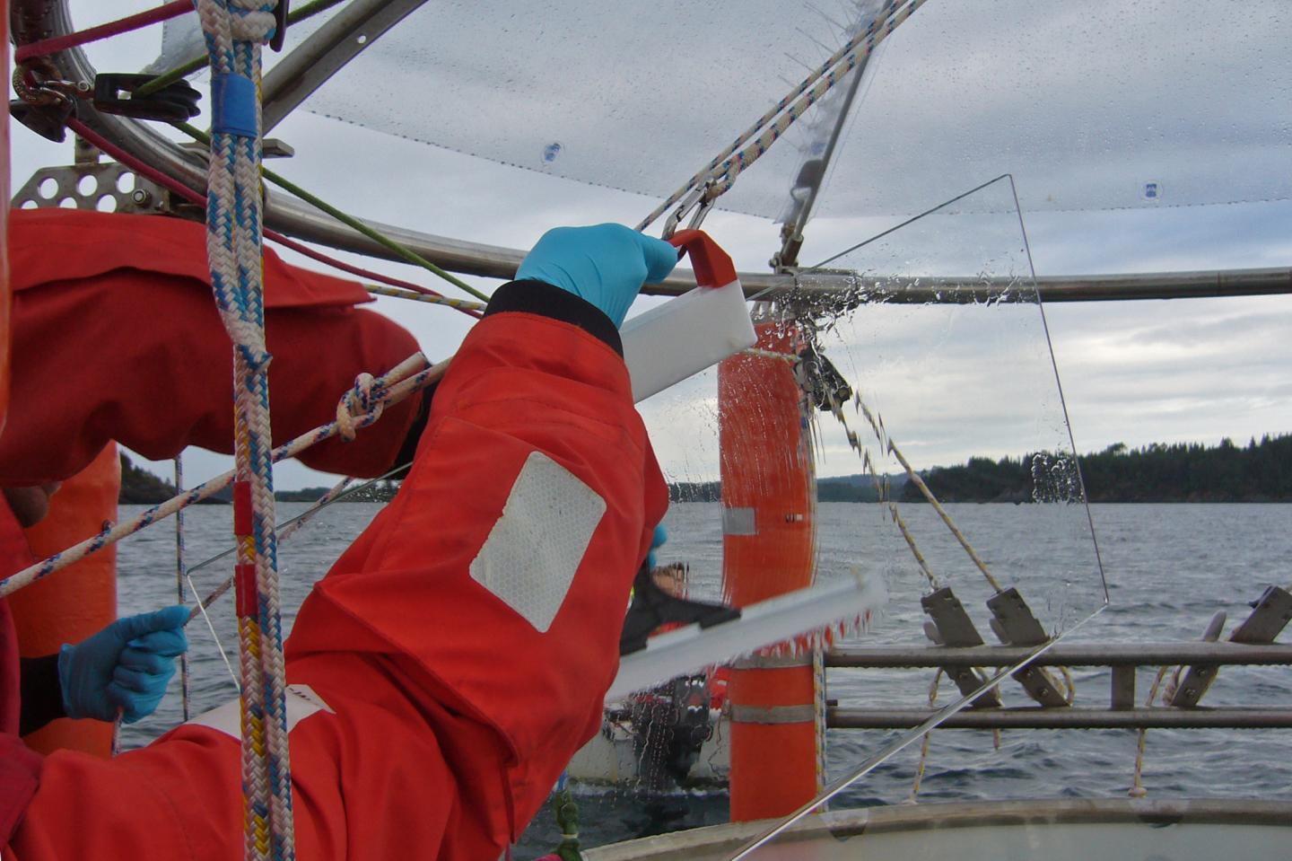 Microlayer Sampling [IMAGE] | EurekAlert! Science News Releases