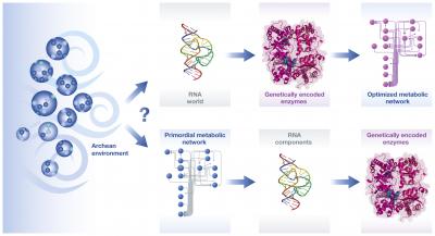 When Did Metabolism First Orig [IMAGE] | EurekAlert! Science News Releases