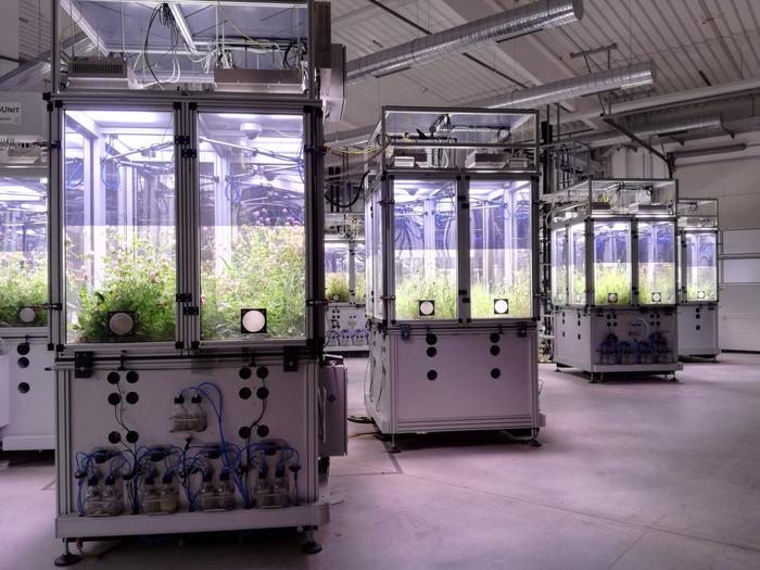 iDiv Ecotron [IMAGE] | EurekAlert! Science News Releases