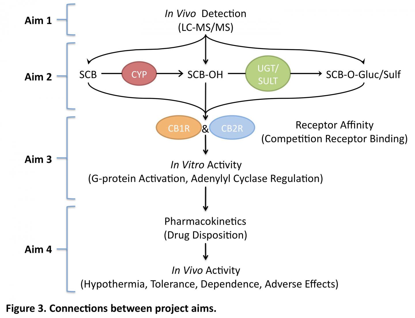 Genetic factors may contribute to adverse eff | EurekAlert!
