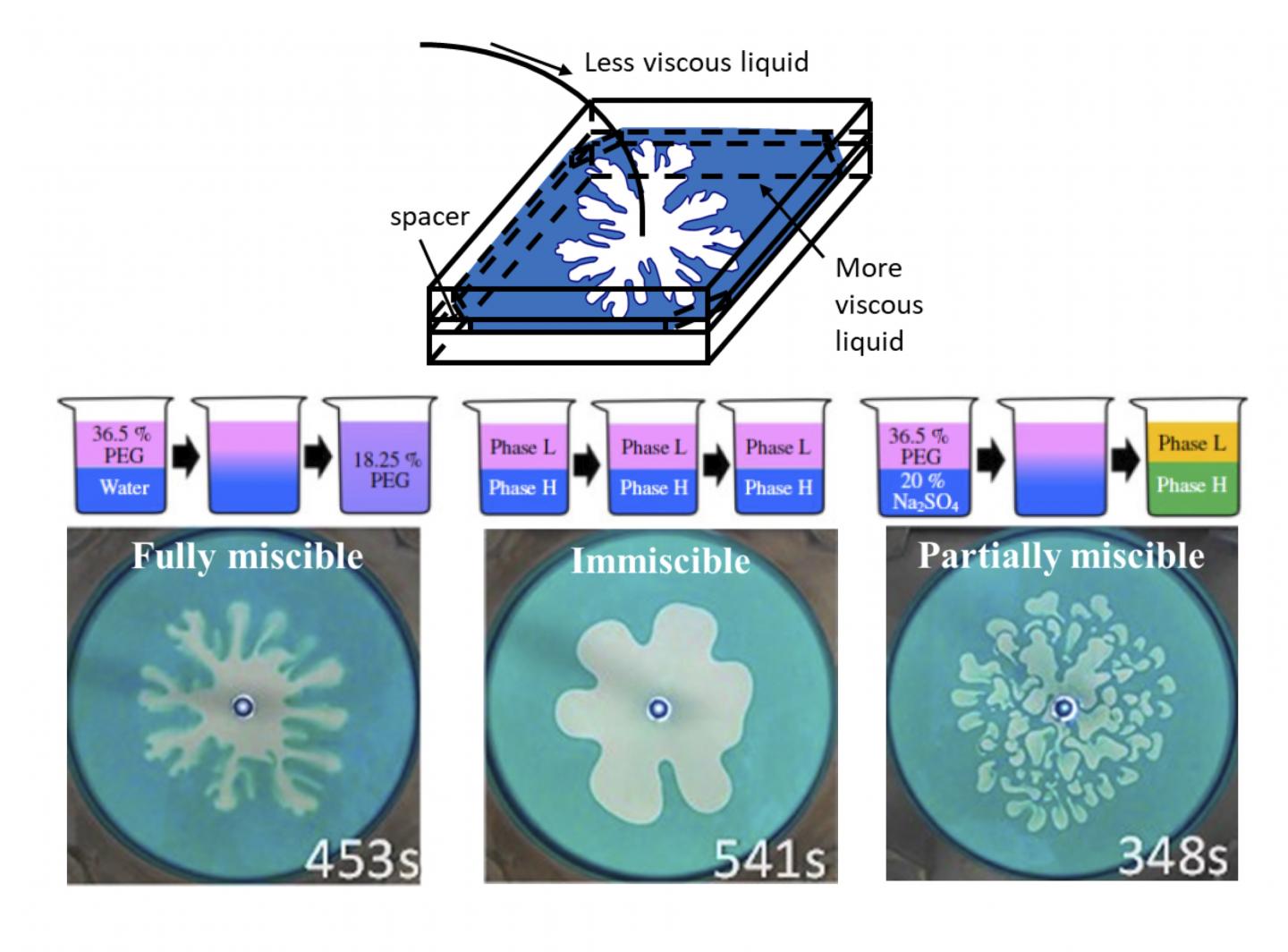 Topological change of viscous [IMAGE] | EurekAlert! Science News Releases