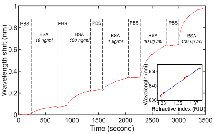Monitoring of BSA adsorption. [IMAGE] | EurekAlert! Science News Releases