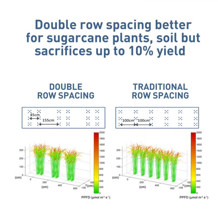 Sugarcane Row Spacing Graphic [IMAGE] | EurekAlert! Science News Releases