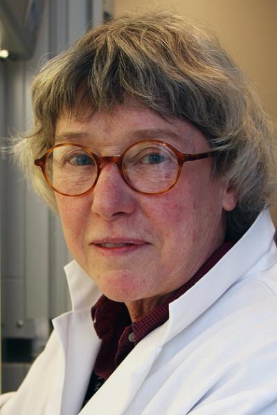 New cell line should accelerate embryonic ste | EurekAlert!