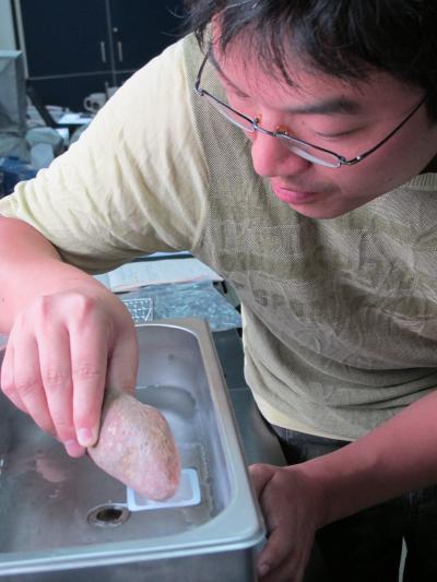 New discovery of ancient diet shatters conven | EurekAlert!