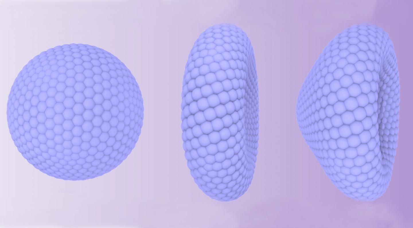 Shape-Changing Nanoparticles [IMAGE] | EurekAlert! Science News Releases