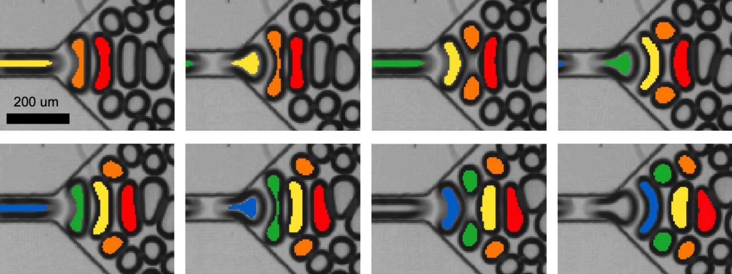 Microfluidic Device Created at [IMAGE] | EurekAlert! Science News Releases