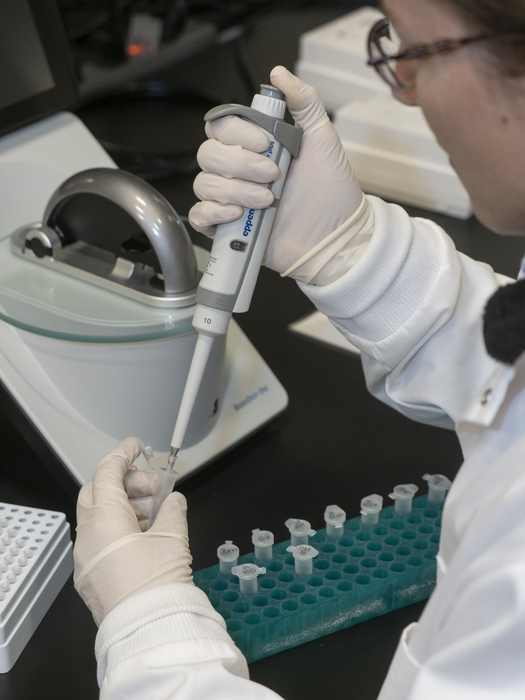 Genetics Lab [IMAGE] | EurekAlert! Science News Releases