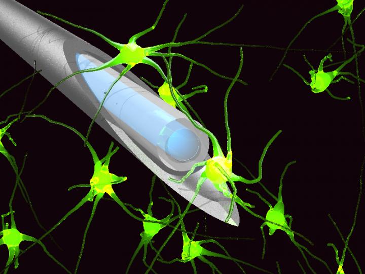 Fiber Probe [IMAGE] | EurekAlert! Science News Releases