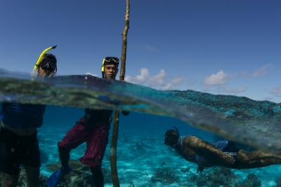 In Fiji, marine protection gets local boost | EurekAlert!