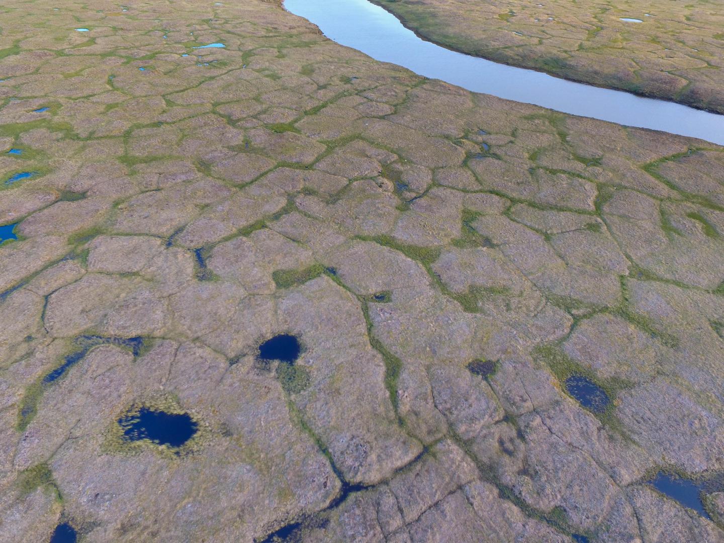 Permafrost polygons [IMAGE] | EurekAlert! Science News Releases