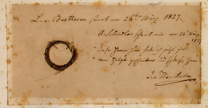 The Moscheles Lock [IMAGE] | EurekAlert! Science News Releases