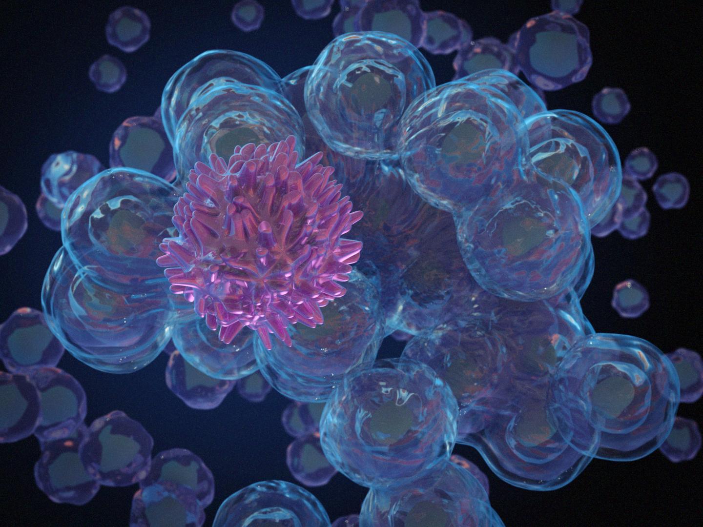 Cancer [IMAGE] | EurekAlert! Science News Releases