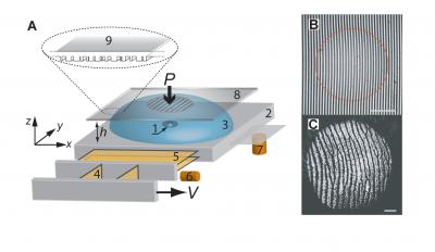 Why Fingerprints? (5 of 5) | EurekAlert!