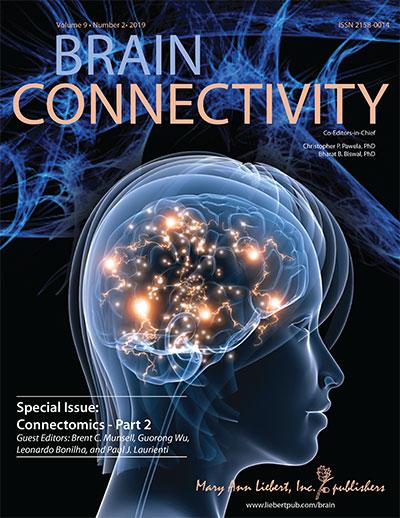 Using connectomics to understand epilepsy | EurekAlert!