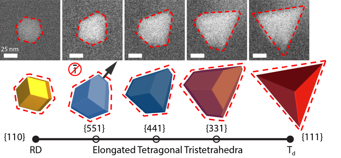 TETRA [IMAGE] | EurekAlert! Science News Releases