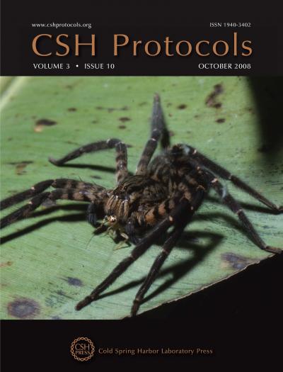CSH Protocols, October 2008 [IMAGE] | EurekAlert! Science News Releases