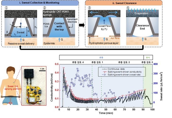 Figure 2 [IMAGE] | EurekAlert! Science News Releases