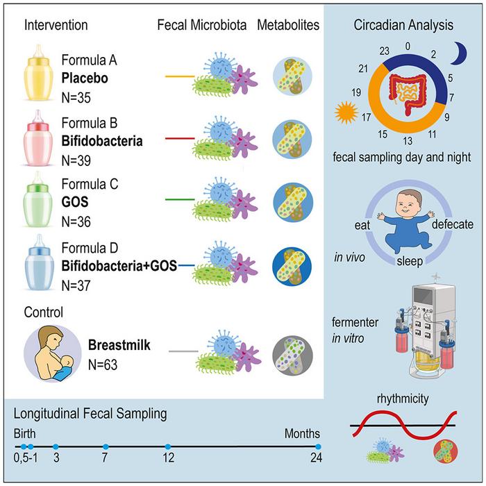 Diurnal rhythmicity of infant [IMAGE] | EurekAlert! Science News Releases