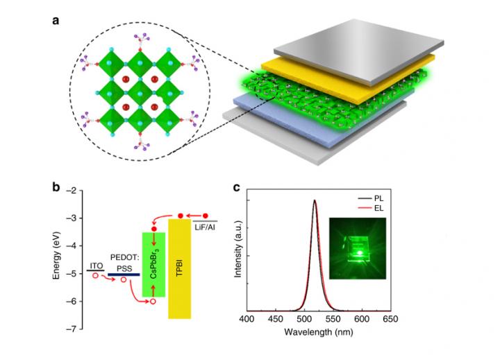 Device Structure of PeLEDs [IMAGE] | EurekAlert! Science News Releases